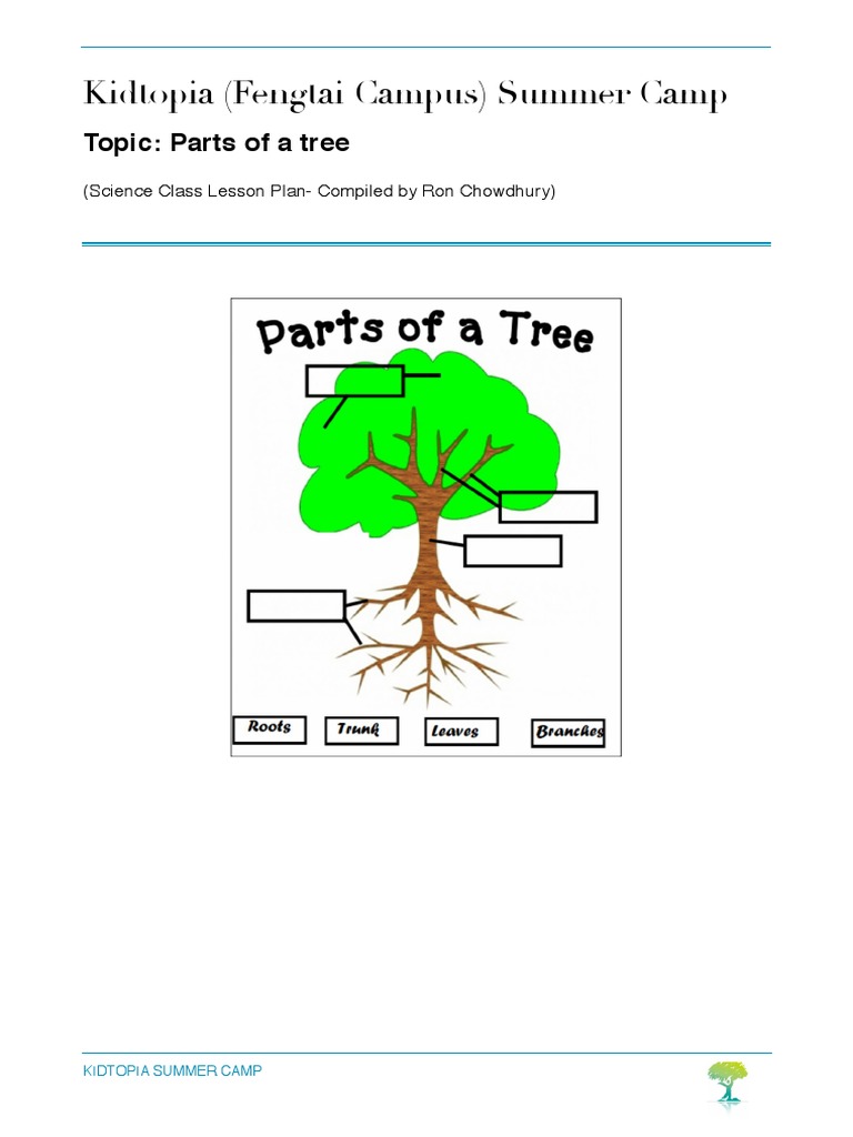 Parts of A Tree (Science Class) | PDF | Trees | Cognition