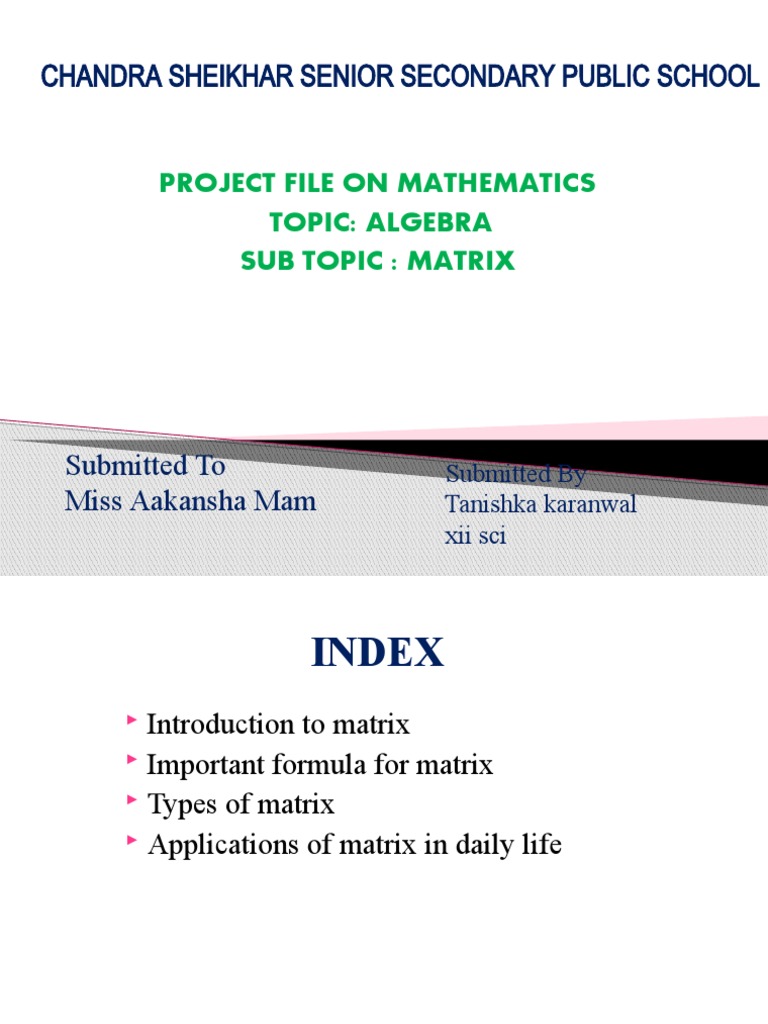 Chandra Sheikhar Senior Secondary Public School: Project File On ...