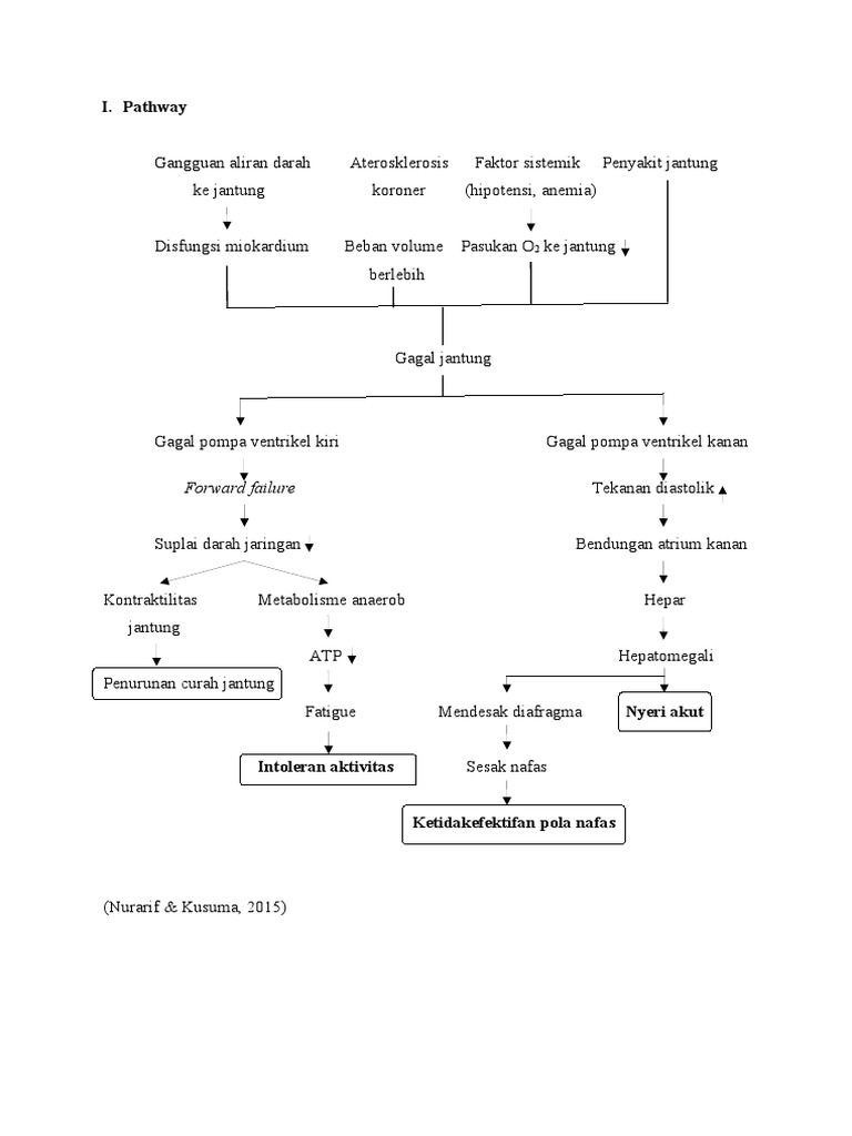 Congestive Heart Failure Pathway | PDF