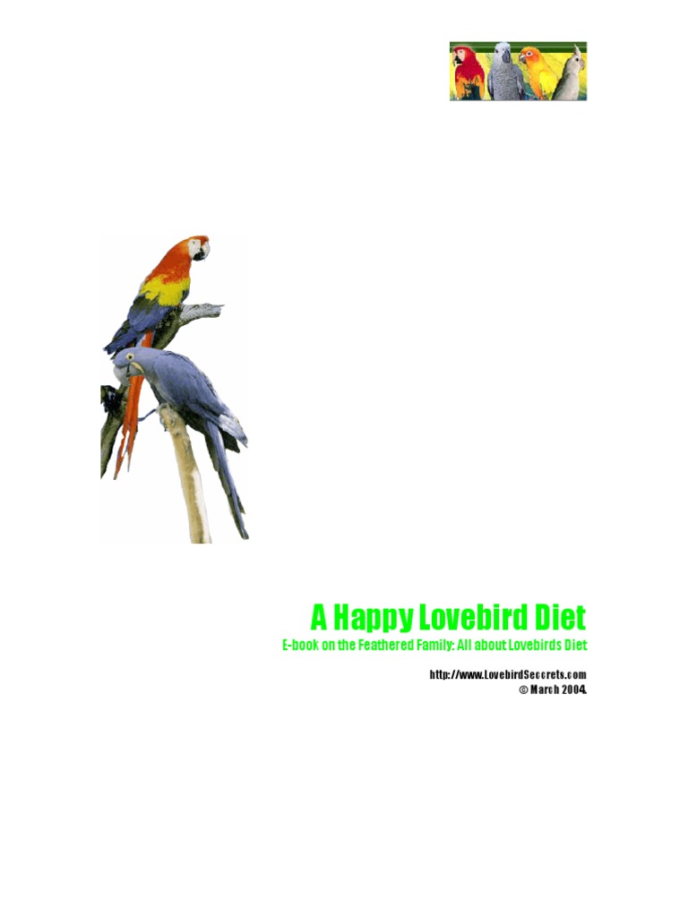 A Happy Lovebird Diet: Ebook On The Feathered Family: All About ...