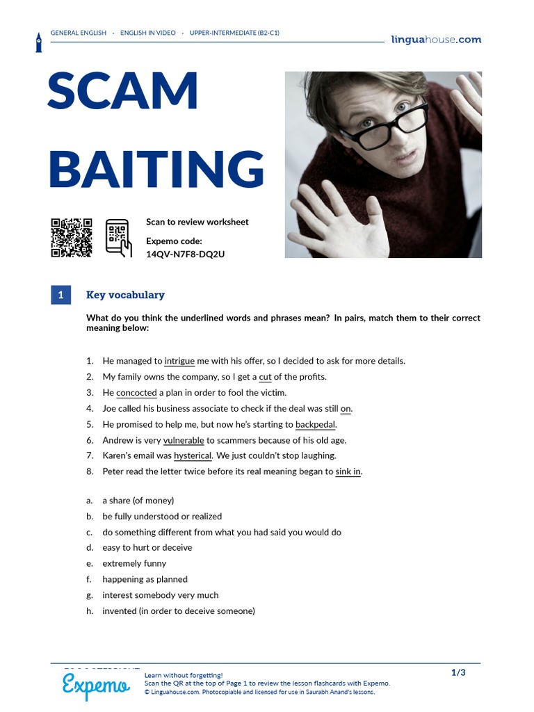 Scam Baiting: Key Vocabulary | PDF