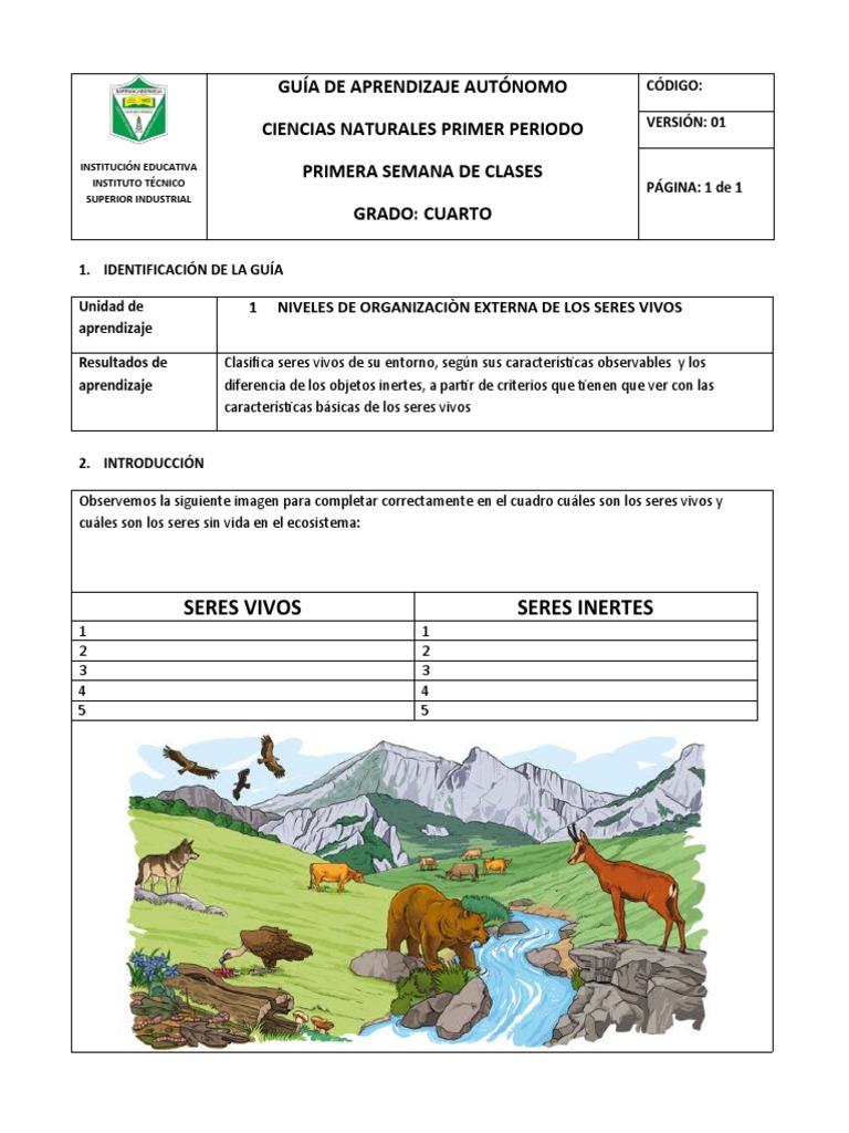 Niveles de Organización de Seres Vivos | PDF | Ecosistema | Aprendizaje