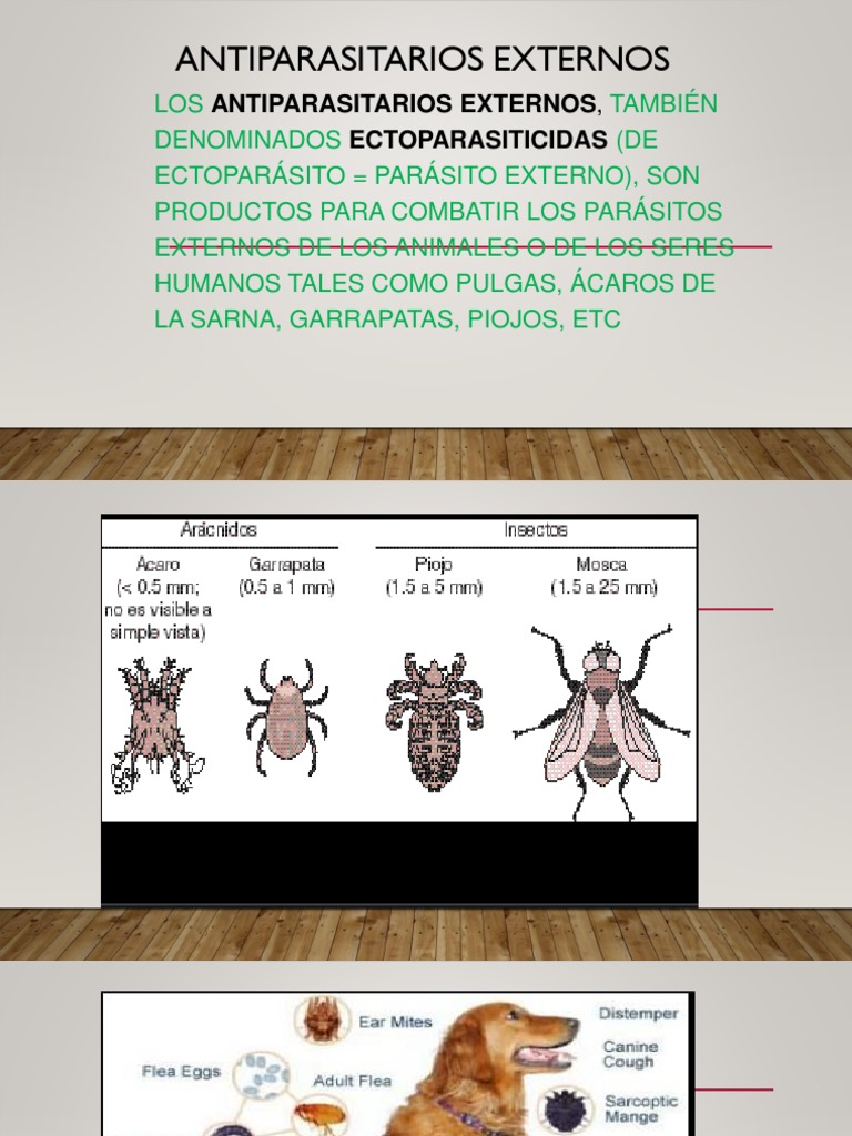 Antiparasitarios Externos 4to NIVEL | PDF | Insecticida | Productos ...