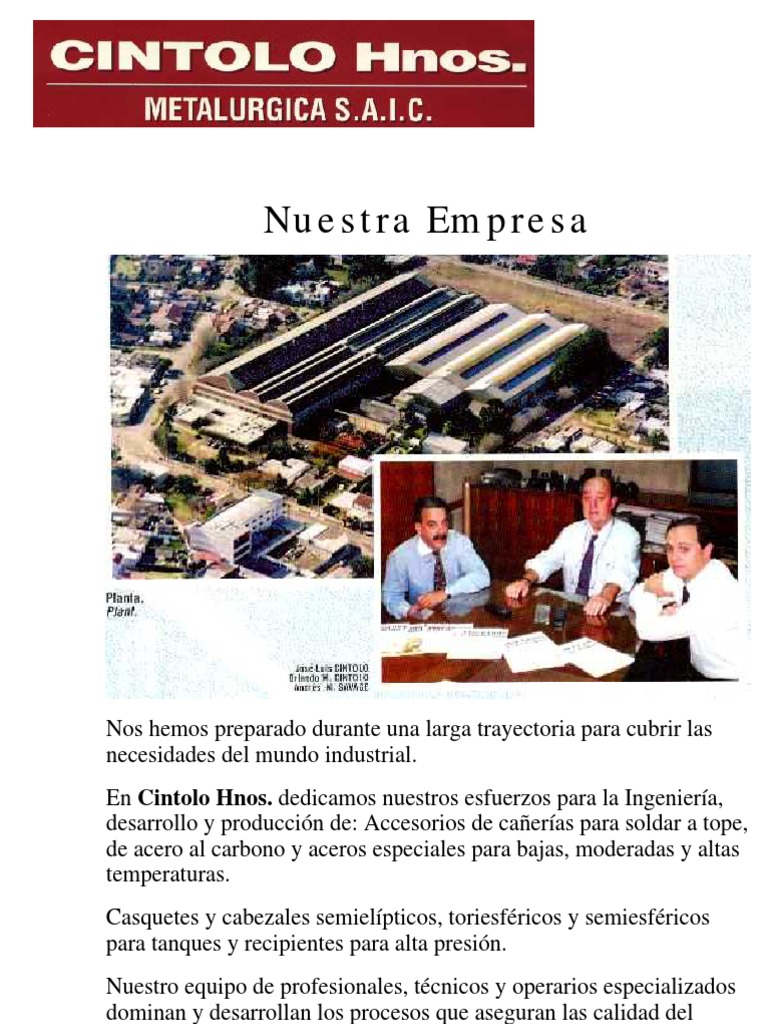 CINTOLO | PDF | Acero | Naturaleza