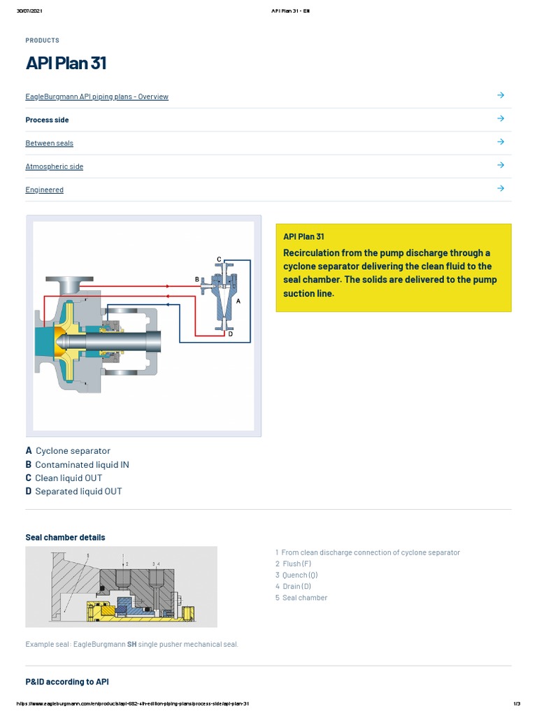 API Plan 31 - EN | PDF