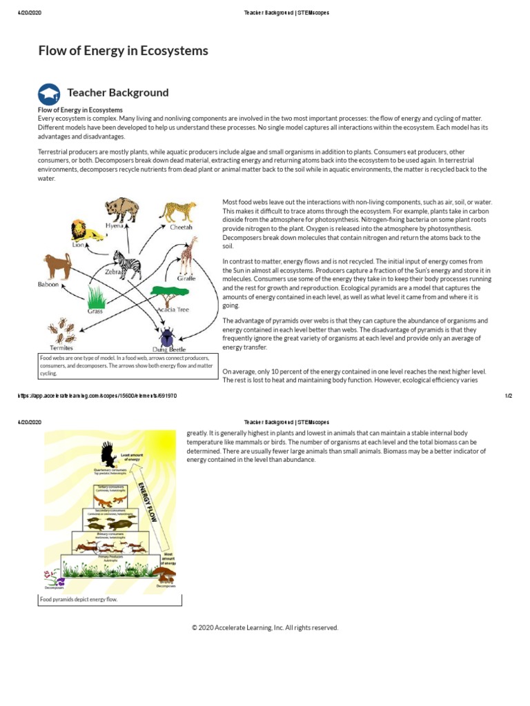 02 Flow of Energy in Ecosystems Text-Merged | PDF | Food Web | Ecosystem