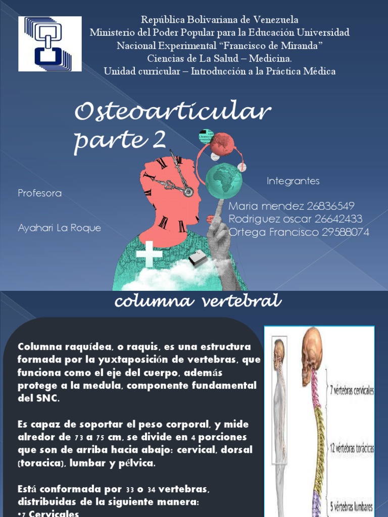 Osteoarticular Parte II | PDF | La columna vertebral | Sistema esquelético