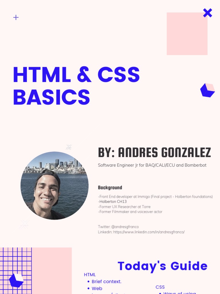 HTML & CSS BASICS GUIDE | PDF | Html | Html Element