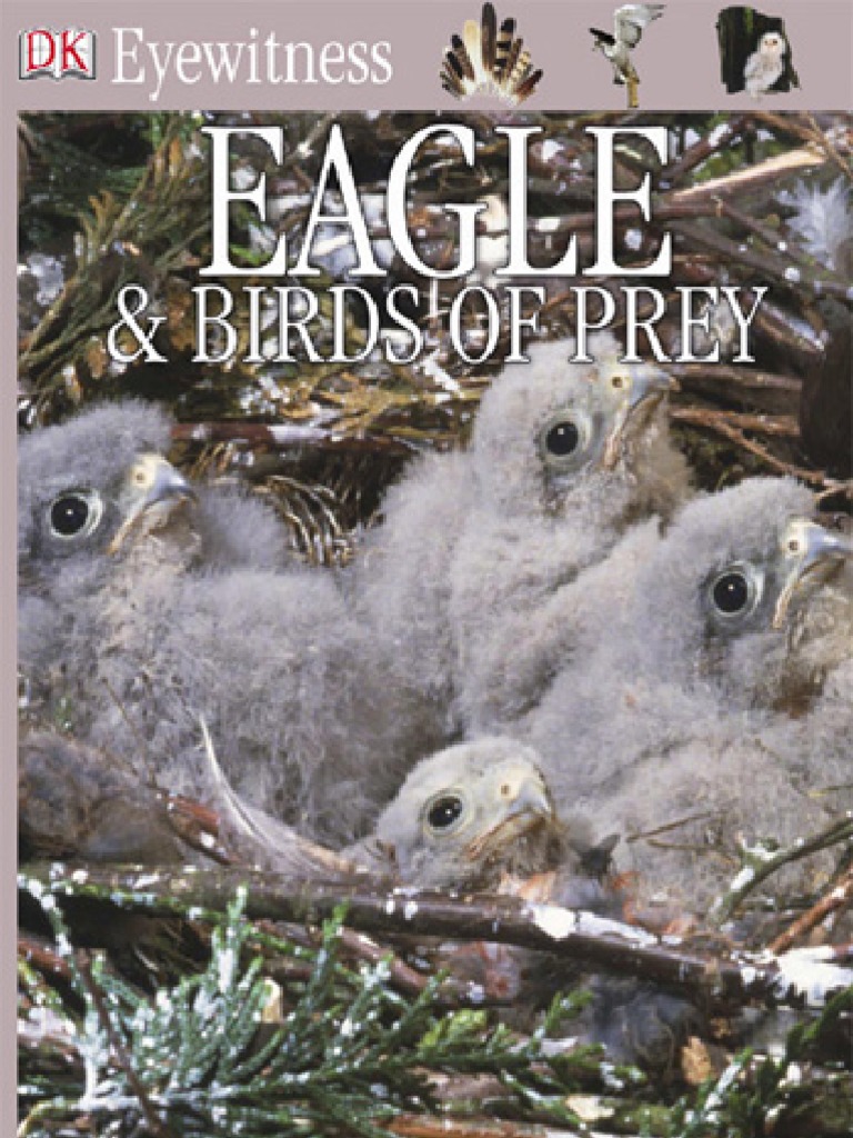 Eagles and Birds of Prey by DK | PDF | Birds Of Prey | Eagle