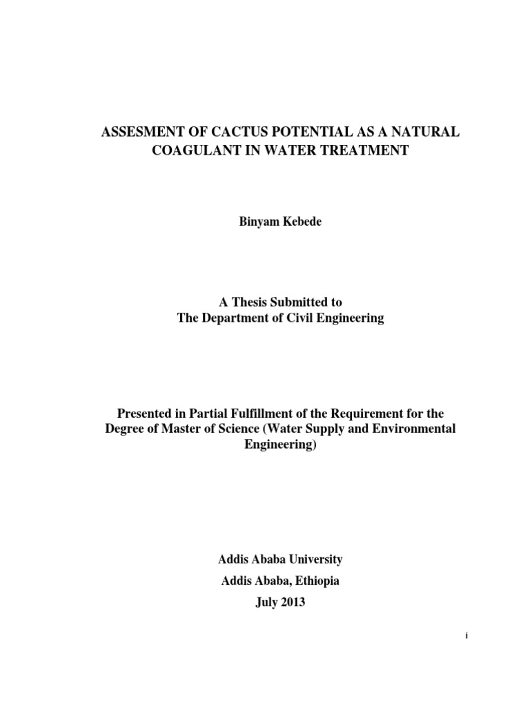 Binyam Kebede 2013 Thesis | PDF | Alkalinity | Water Purification