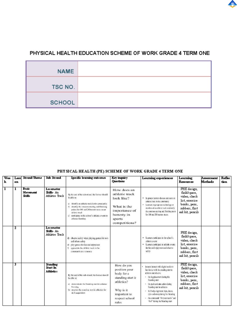 Pe Grade 4 Term 1 | PDF | Ball | Teams