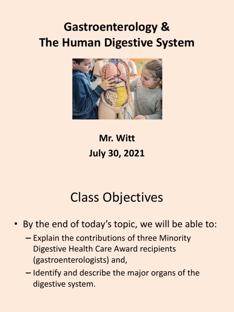 Digestive System Overview & Awards | PDF | Gastrointestinal Tract ...