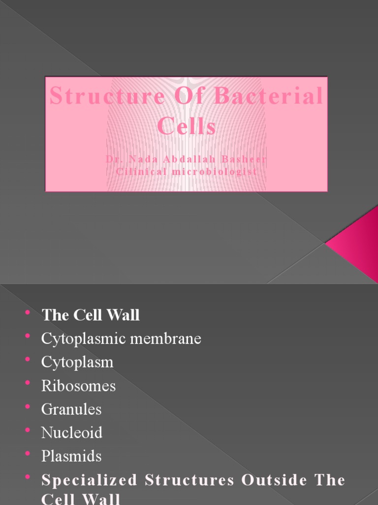 Structure of Bacteria | PDF | Cell (Biology) | Bacteria