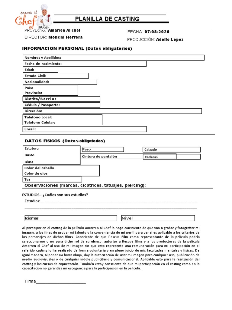 Planilla de Casting Vacia | PDF