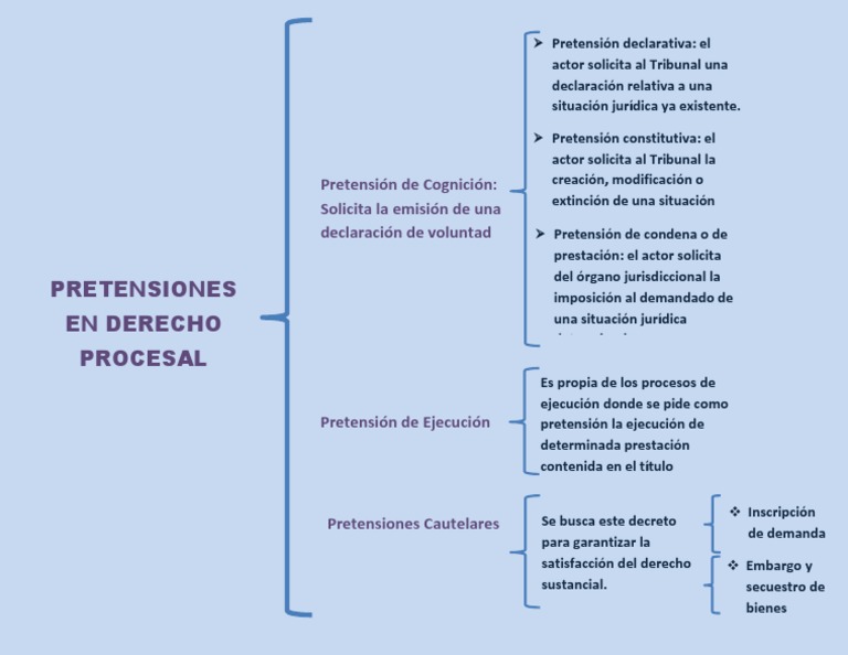 Pretensiones Procesales | PDF | Derecho