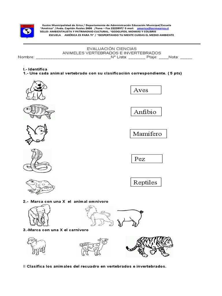Evaluación de Animales para Primaria | PDF | Esqueleto | Vertebrados
