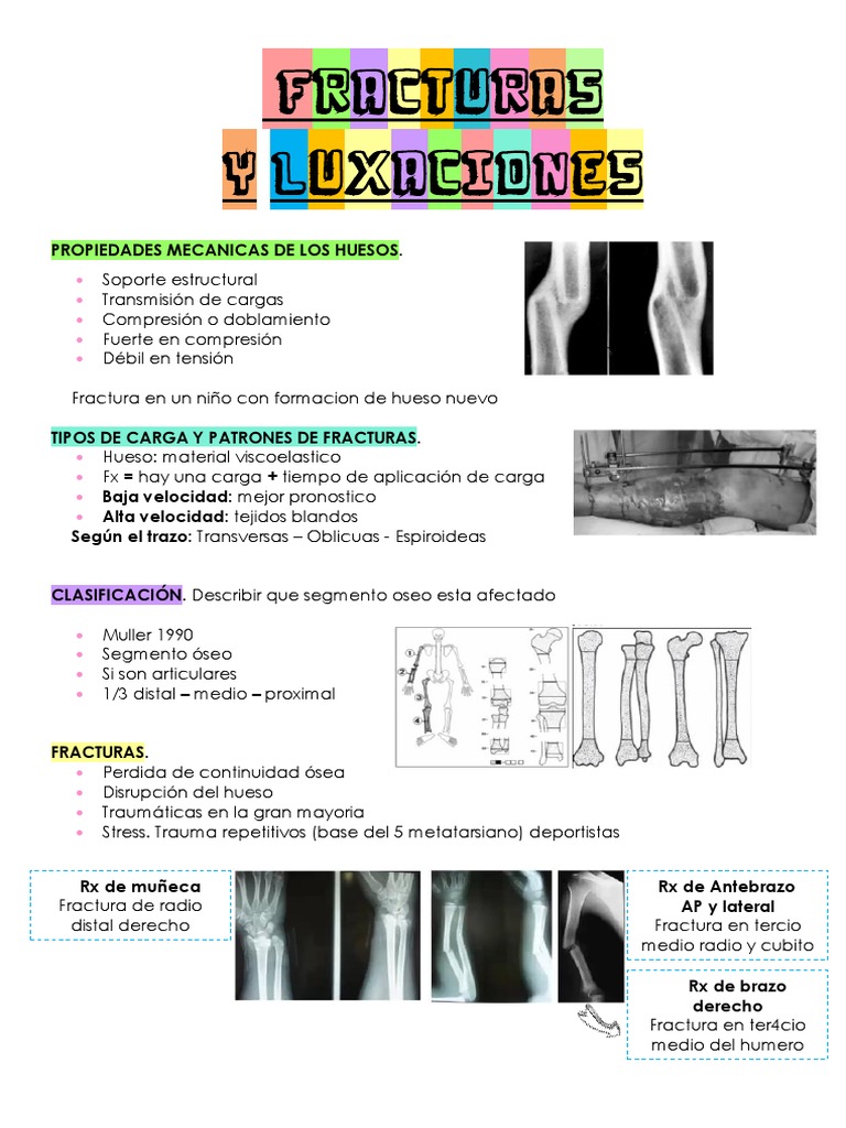 Fracturas y Luxaciones | Descargar gratis PDF | Hueso | Hombro