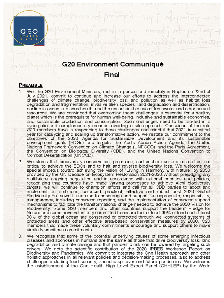 G20 Environment Ministers' Communiqué 2021 | PDF | Sustainability ...