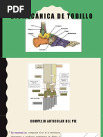 Pie Talo, Pie Varo, Valgo, y Pie Plano | PDF | Pie | Tobillo