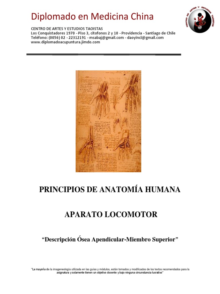04 Descripción Ósea Apendicular-Miembro Superior - CAET 2013 | PDF | Mano | Extremidades (anatomía)