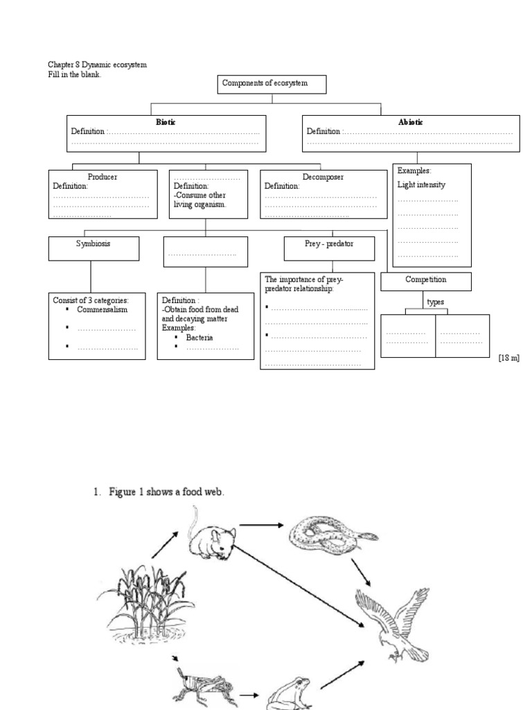 Understanding Dynamic Ecosystems | PDF | Food Web | Environmental ...