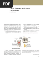 Access Opening | PDF | Dental Anatomy | Dentistry Branches