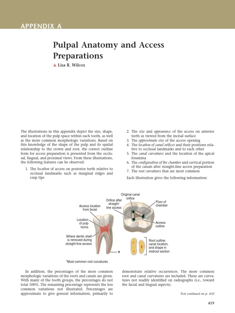 Pulpal Anatomy and Access Preparations: Appendix A | PDF | Dentin | Tooth