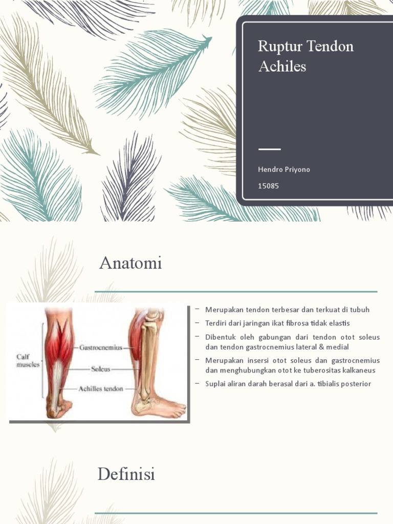 Ruptur Tendon Achiles | PDF