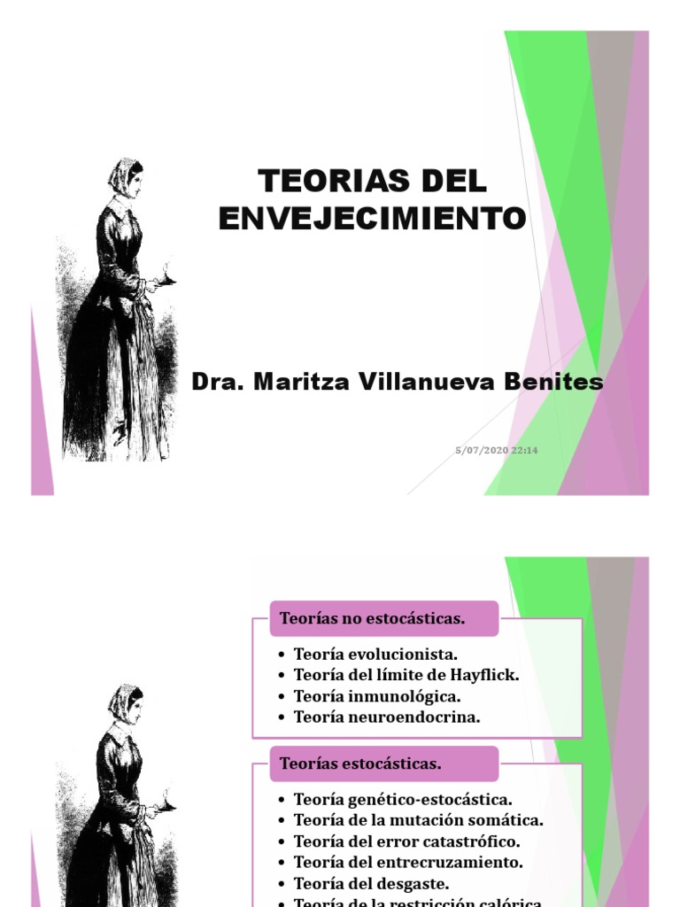 Teorias Del Envejecimiento | PDF | Senectud | Sistema inmune