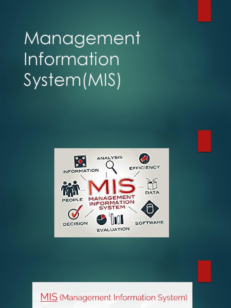 Management Information System (MIS) | Download Free PDF | Management ...