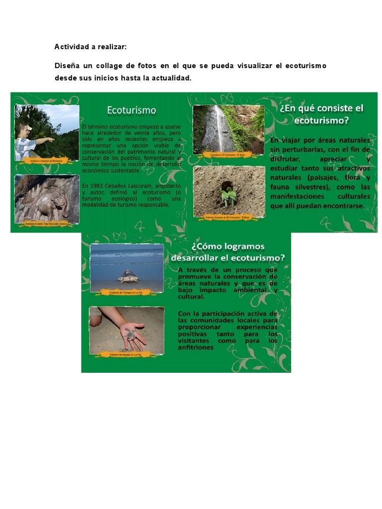 Actividad 2. Antecedentes Del Ecoturismo | PDF