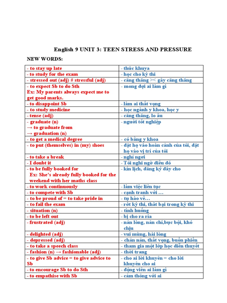 Unit 3 Teen Stress and Pressure | PDF