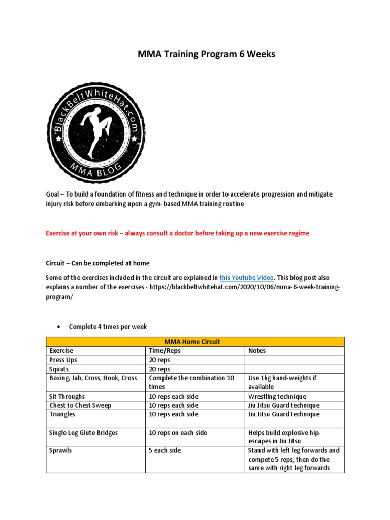 MMA Training Program 6 Weeks: Exercise at Your Own Risk - Always ...
