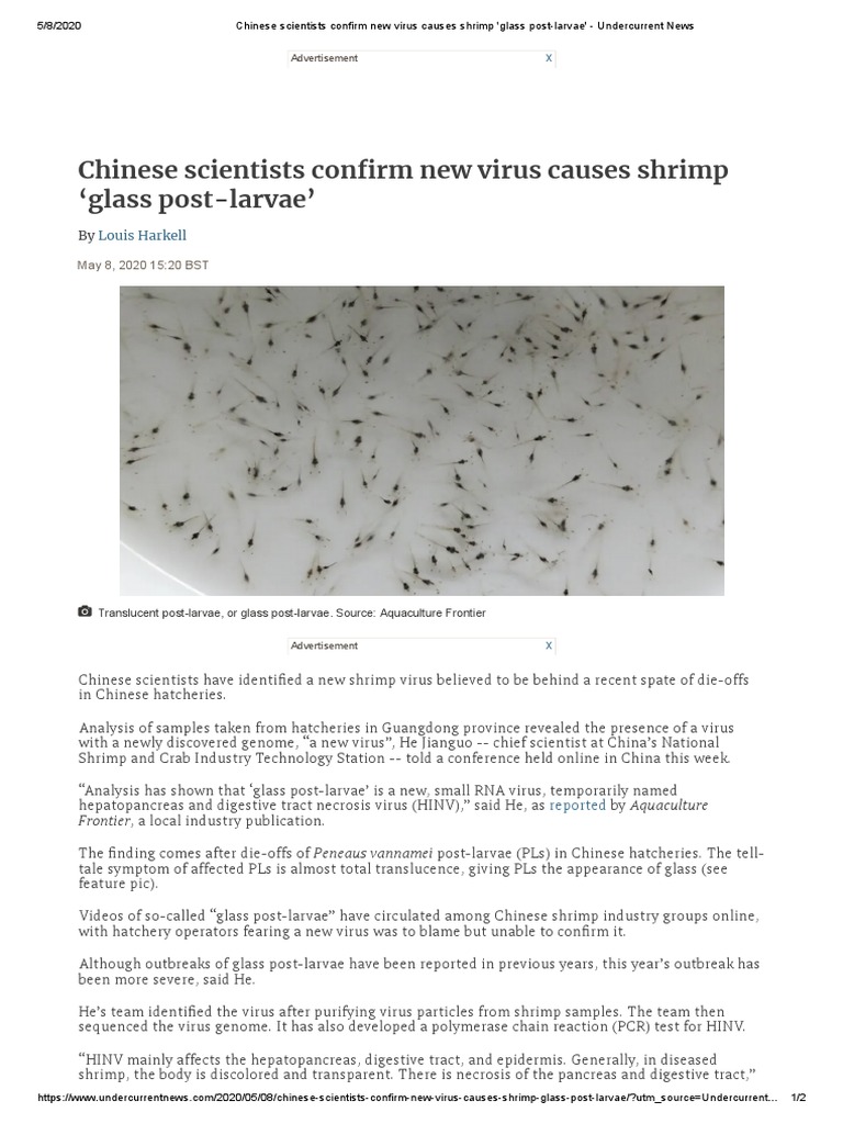 Chinese Scientists Confirm New Virus Causes Shrimp 'Glass Post-Larvae ...