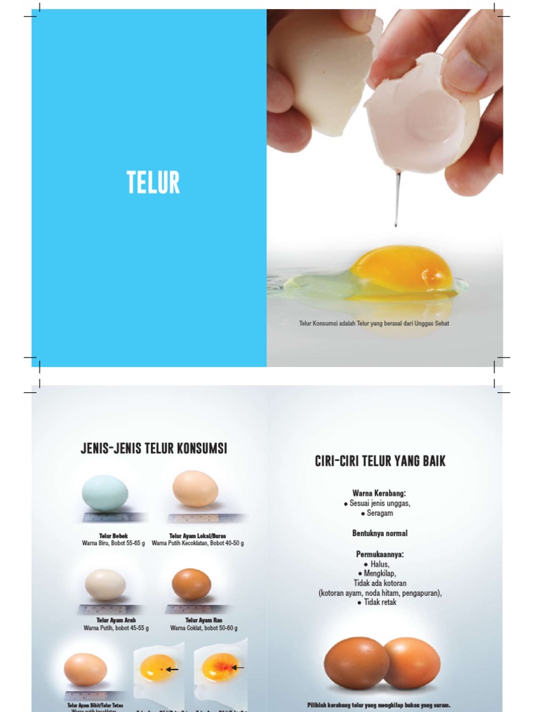 Handling Telur | PDF