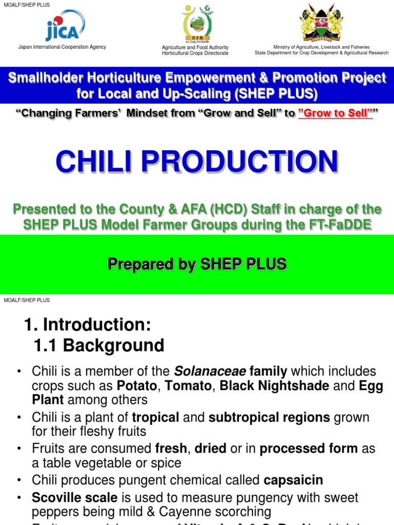 CHILI Production | PDF | Chili Pepper | Plant Nursery
