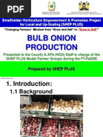 Cabbage Production JICA | PDF | Plant Nursery | Cabbage