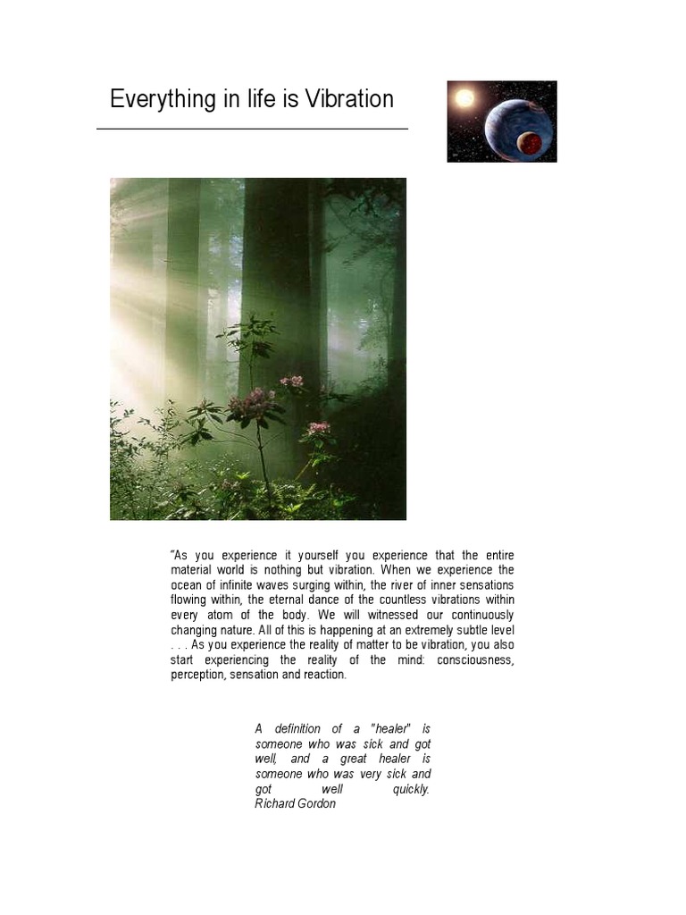 Everything in Life Is Vibration | PDF