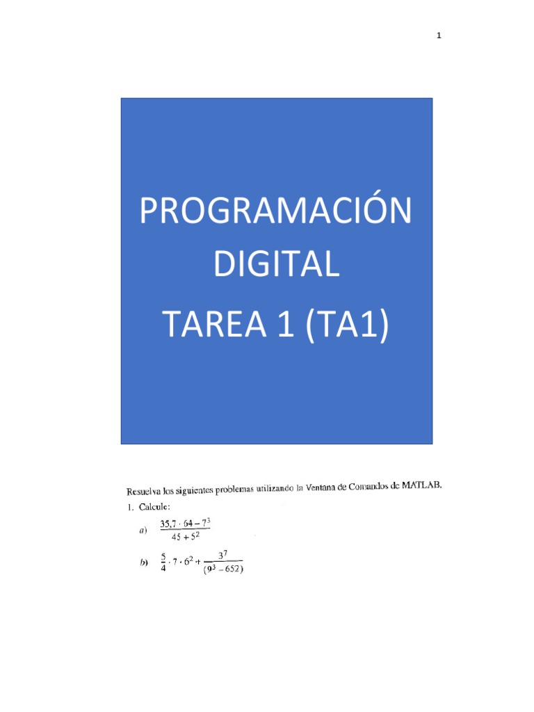 Tarea Programacion | PDF