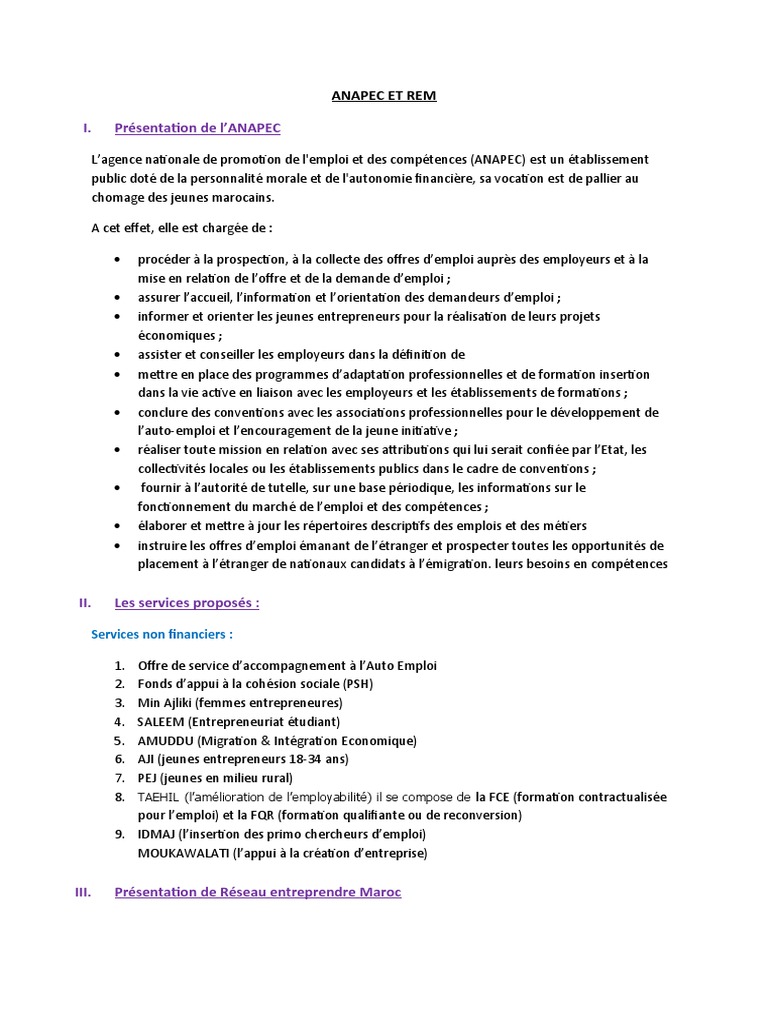REM Anapec | PDF | Maroc | Entrepreneuriat