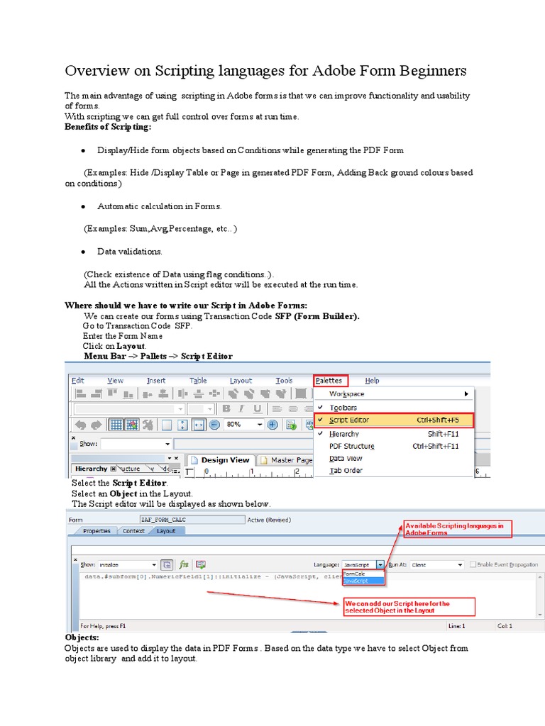 Overview On Scripting Languages For Adobe Form Beginners | PDF