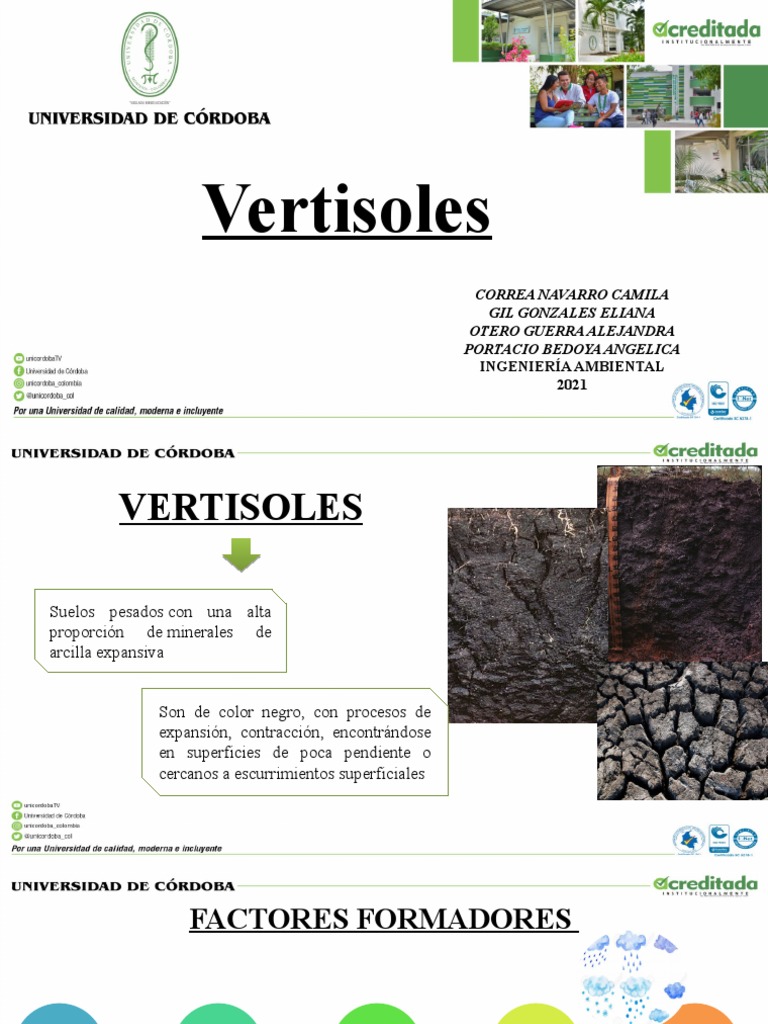 Características de los Vertisoles | PDF | Ciencia del suelo | Ciencias ...