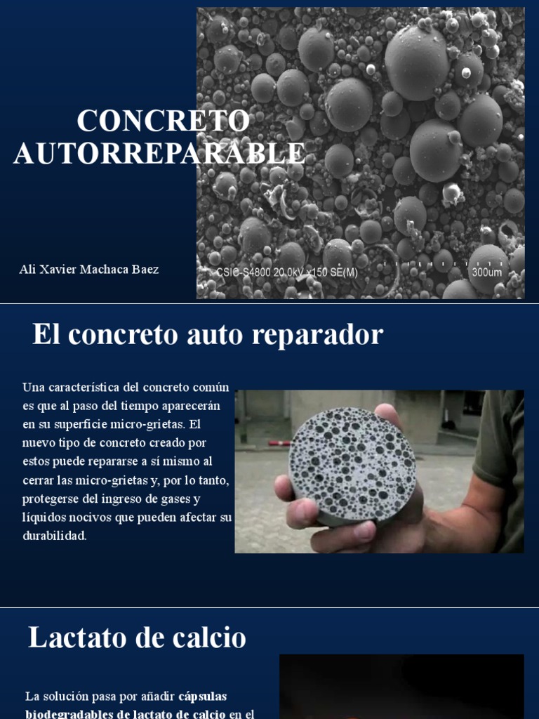 Concreto Autoreparable con Bacterias | PDF | Ciencia y matemáticas