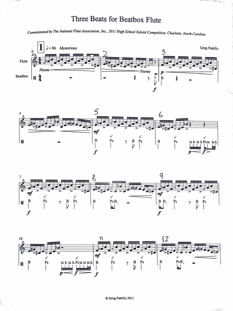 3 Beats For Beatbox Flute | PDF | Pitch (Music) | Nature