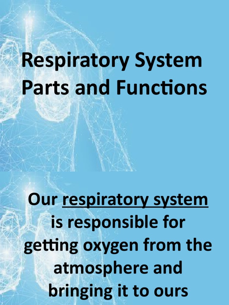 Respiratory System Parts and Functions | PDF
