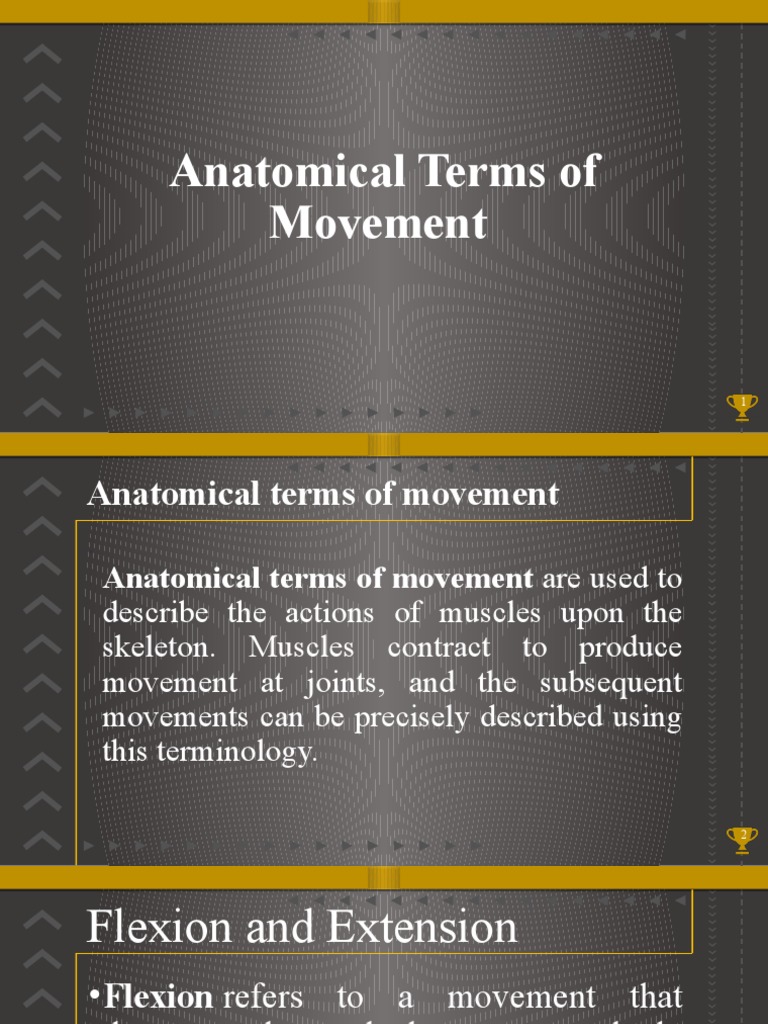 Anatomical Terms of Movement | PDF | Anatomical Terms Of Motion | Dance ...