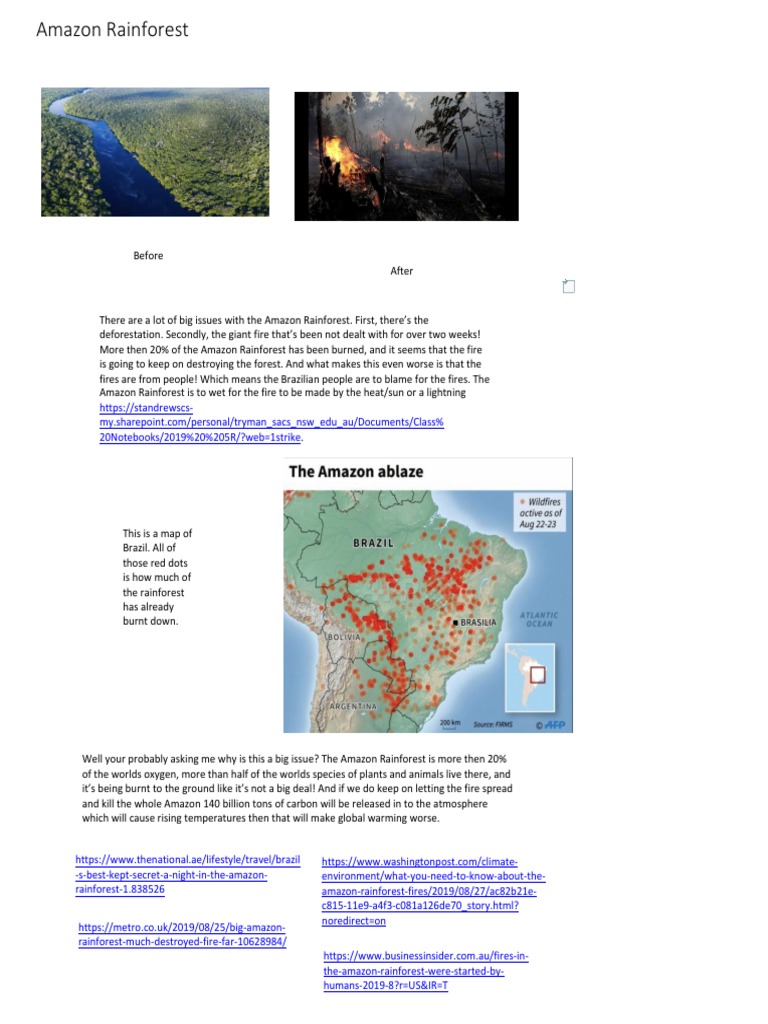 Amazon Rainforest | PDF