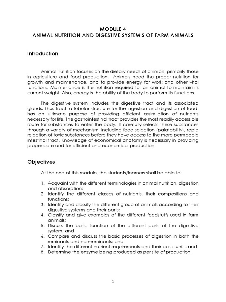 Animal Nutrition & Digestive Systems Overview | PDF | Digestion | Human ...