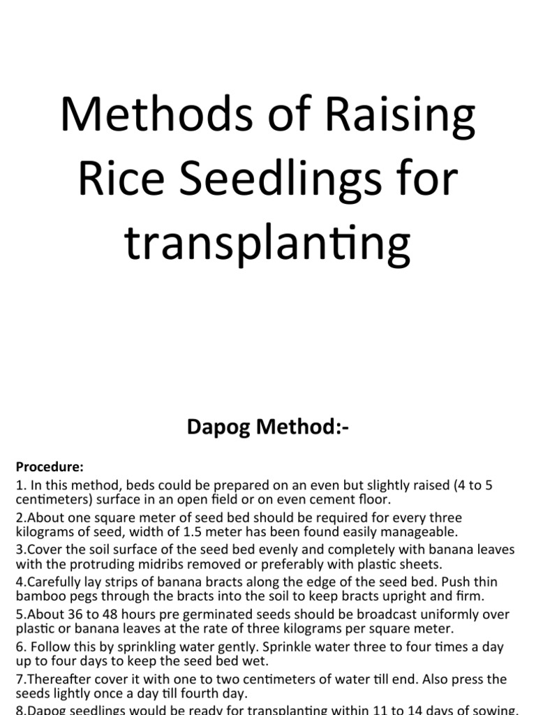 Methods of Raising Rice Seedlings For Transplanting | PDF | Plant ...