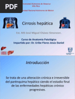 Fisiopatologia de La Cirrosis Hepatica | PDF | Cirrosis | Hígado